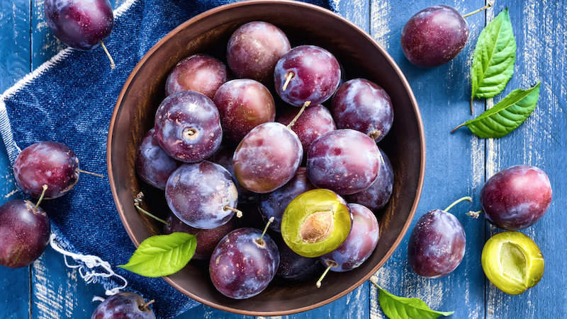 Varför ger plommonträdet ingen frukt? | Allas.se