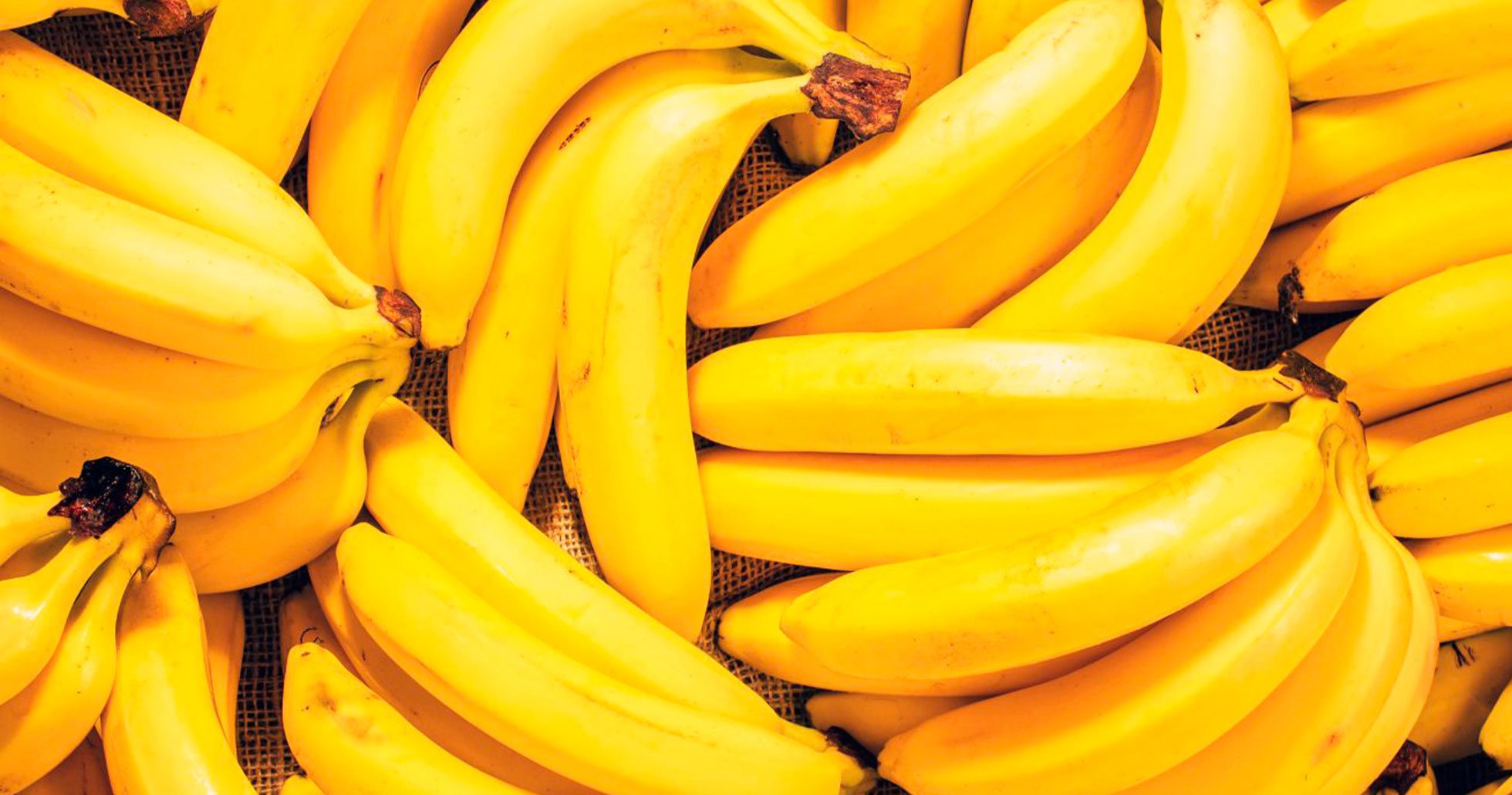 Så håller du bananerna fräscha längre | Allas.se